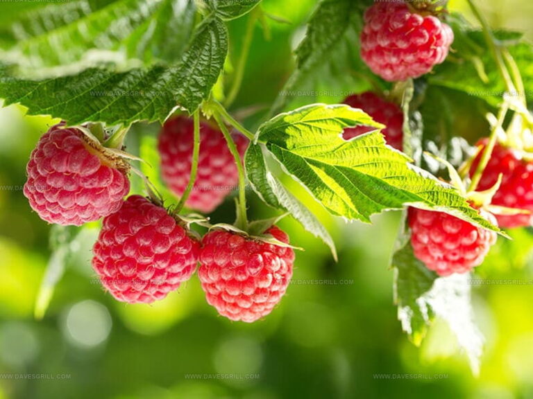 What Do Raspberries Taste Like? Sweet Bursts of Summer Joy - Dave's Grill